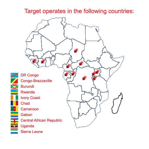 African market expertise : Target Sarl